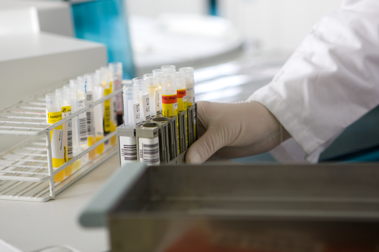 Westernlab – Laboratorio Clínico